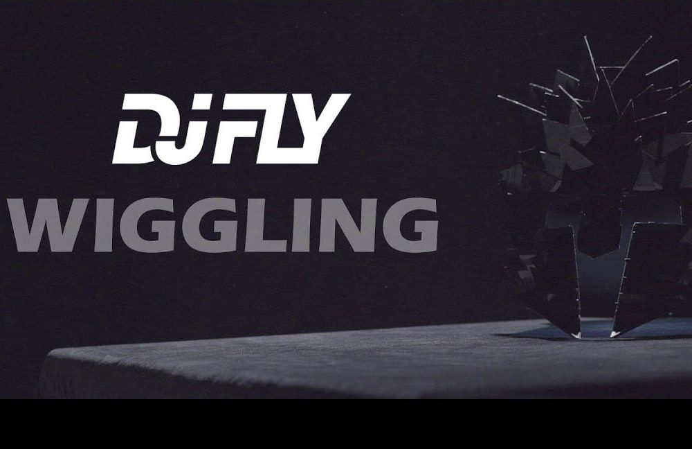 VIDEOS | DJ FLY - Site Officiel